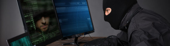 No honour among thieves: hackers who hack each other